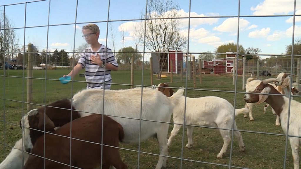 Nibley city leaders try to balance growth, agricultural heritage ...