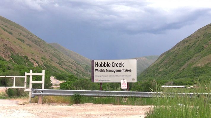 UPDATE: Skeletal remains identified as those of Elizabeth Salgado