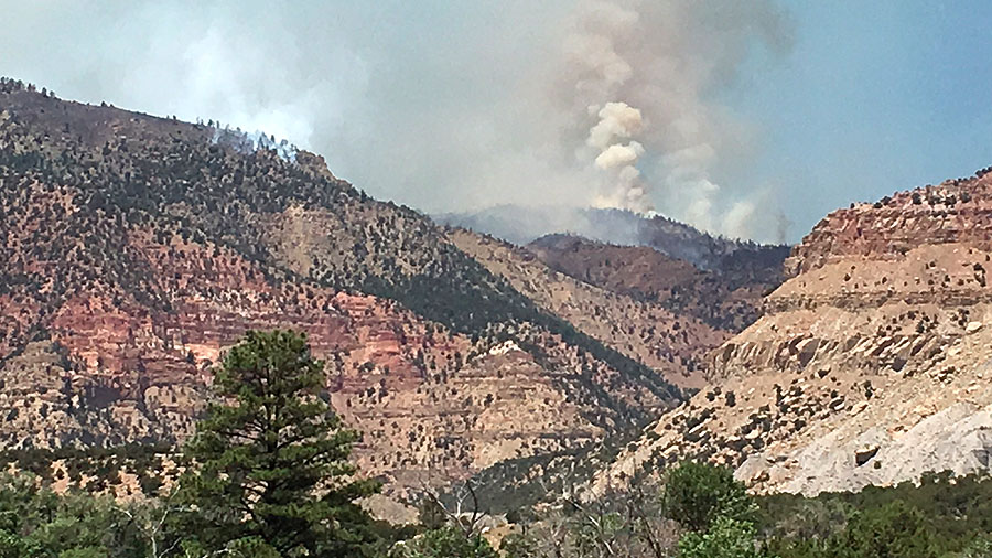 Once a prescribed burn, Trail Mountain Fire now state's largest ...