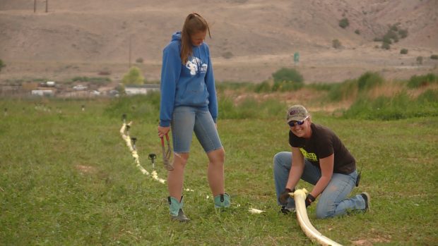 Floods Ruin Most of Sod Farmers’ Crops - KSLTV.com