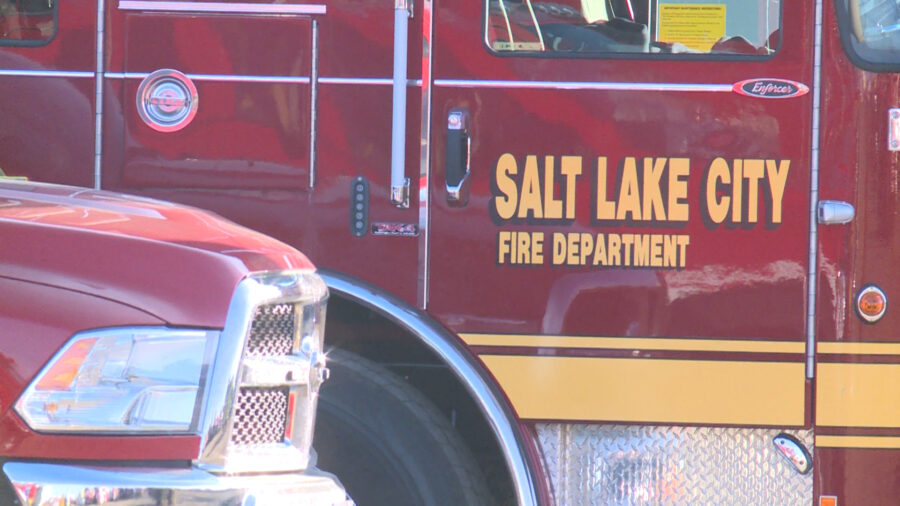 Woman and three cats saved from kitchen fire