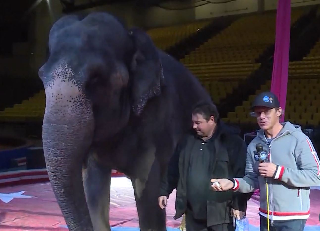 Jordan World Circus Brings Big Top To Utah