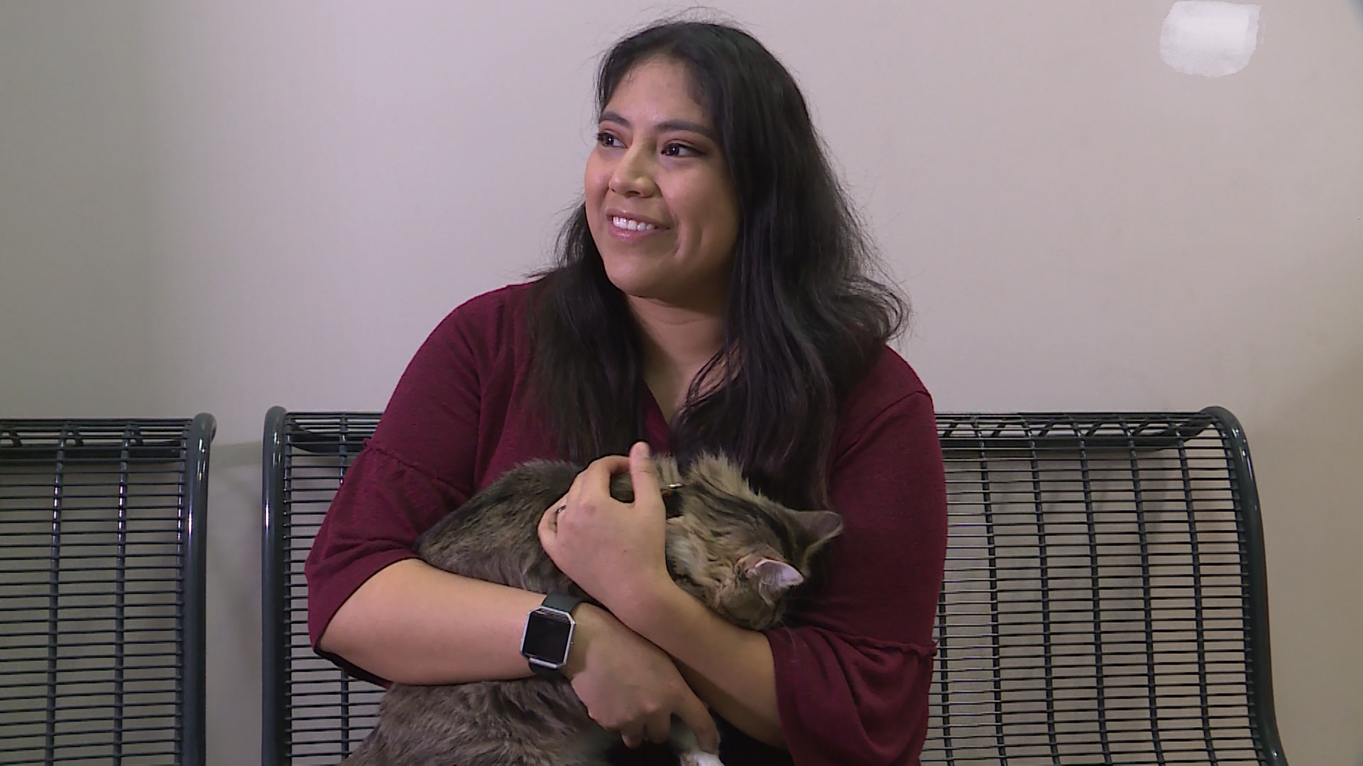 An Often Overlooked Step By Owners Of Micro-chipped Pets Step Can Make ...