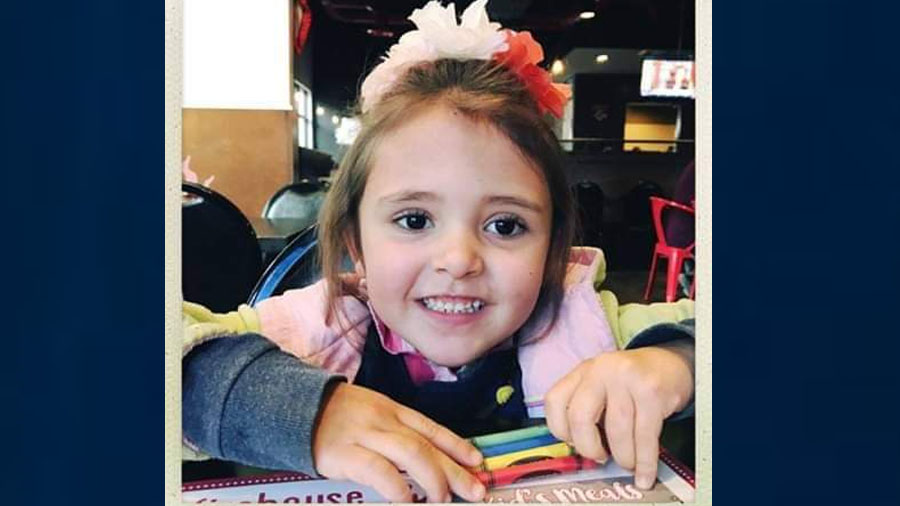 Search For Elizabeth Shelley Enters Day 5