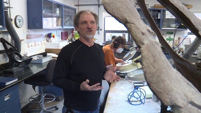 Tyrannosaurus, a Social Creature?