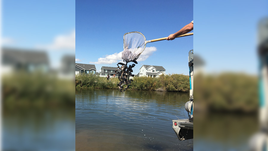 Over 10 Million Fish Stocked Throughout Utah By DWR In 2019