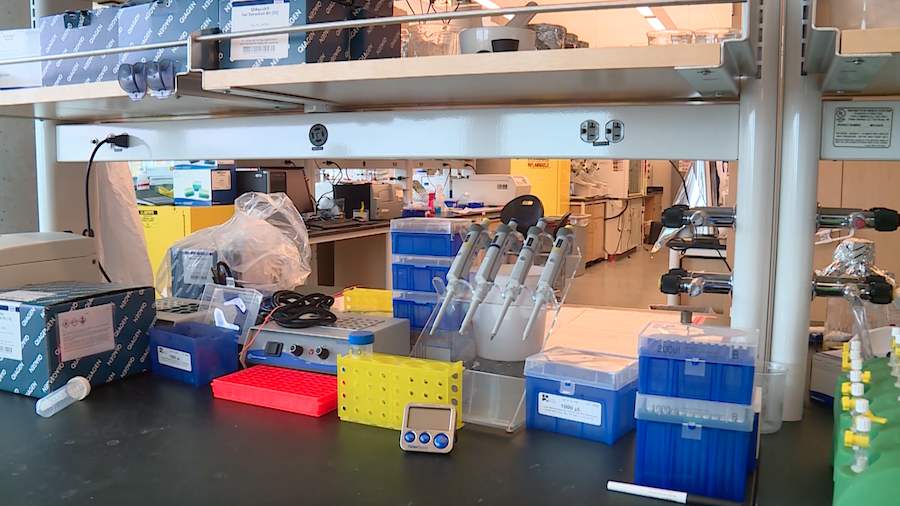 U Of U Researchers Studying Role Of Mucus In COVID-19 Spread - KSLTV.com