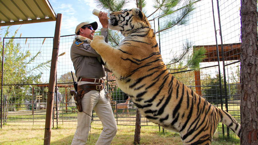 'Tiger King' Is The Number One Show On Netflix - KSLTV.com