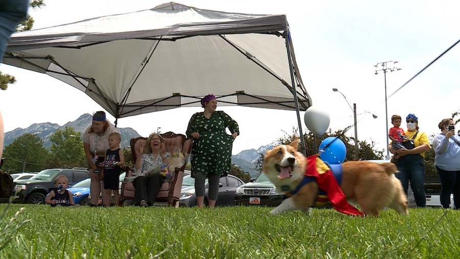 Utah Woman Celebrates Her Birthday With Corgi Parade Worthy Of A Queen