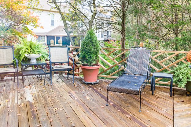 5 Easy Fall Backyard Projects that Will Beautify Your Yard and Garden