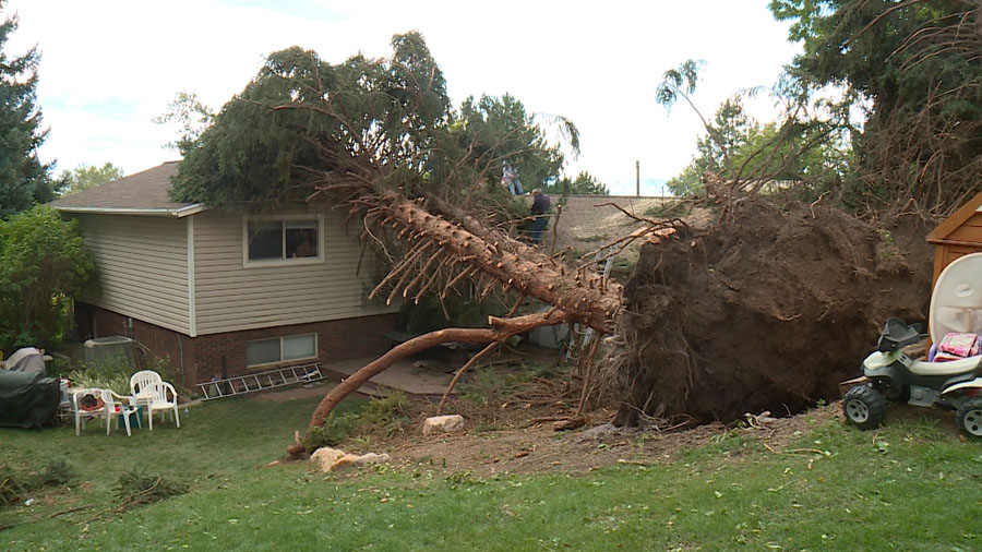 Weber County Home Hit With Several Large Trees - KSLTV.com