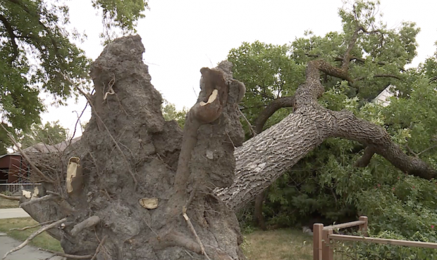 Gov. Herbert Calling In Utah Nat'l Guard To Help With Windstorm Cleanup ...