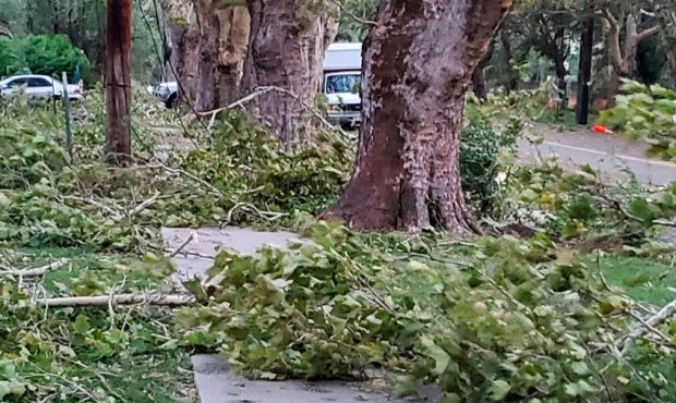 Farmington Mayor Declares Local State Of Emergency After Wind Damage ...