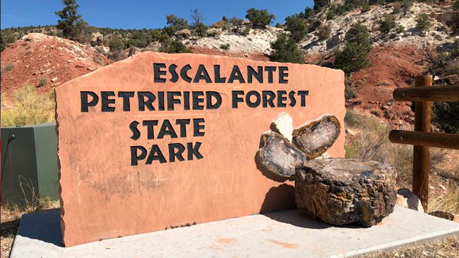 Many Visitors Learn To Regret 'Curse' Of Escalante Petrified Forest ...