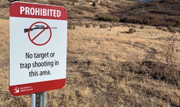 Stray Bullets Lead to Closing of Santaquin WMA to Target Shooting ...