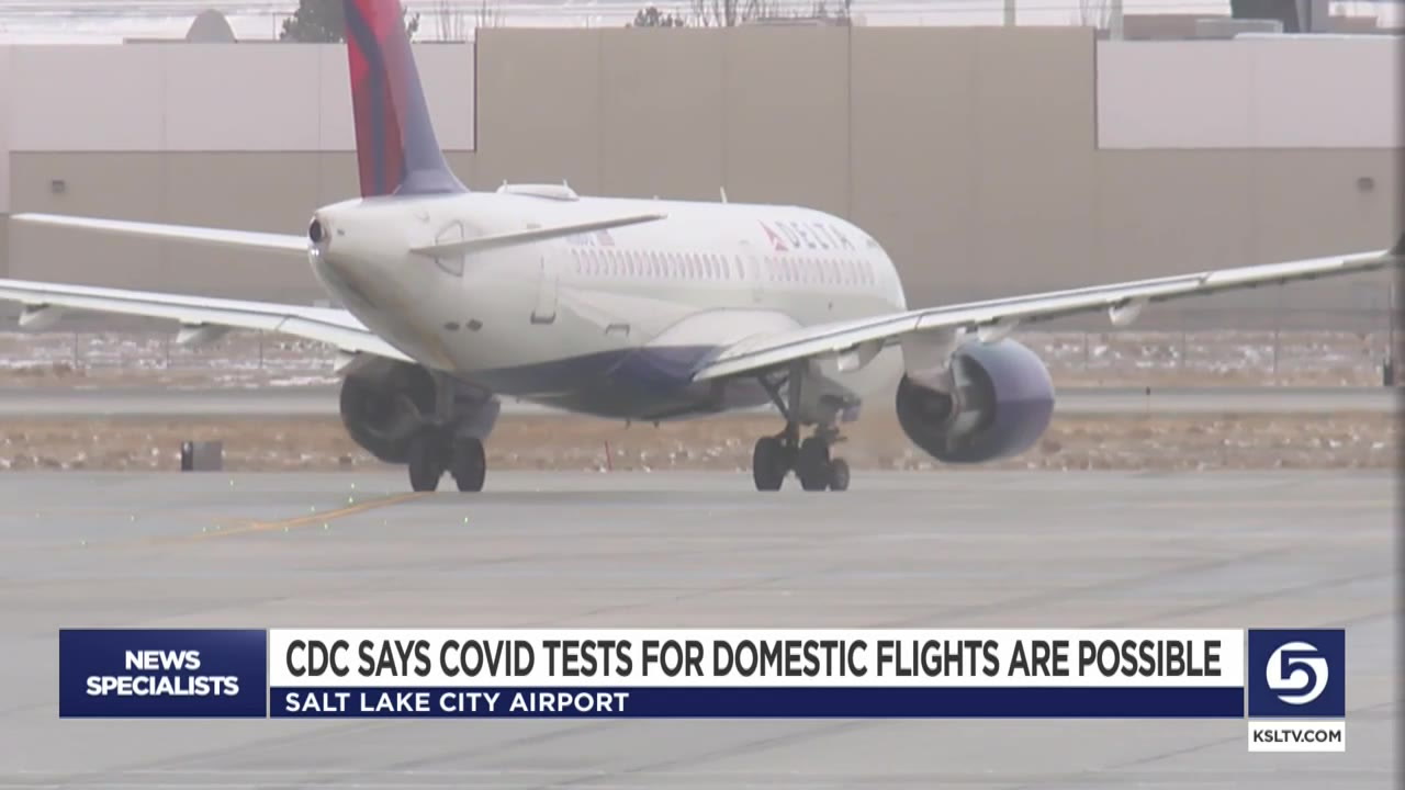 CDC Senior Official: COVID Tests For Domestic Flights A Possibility ...