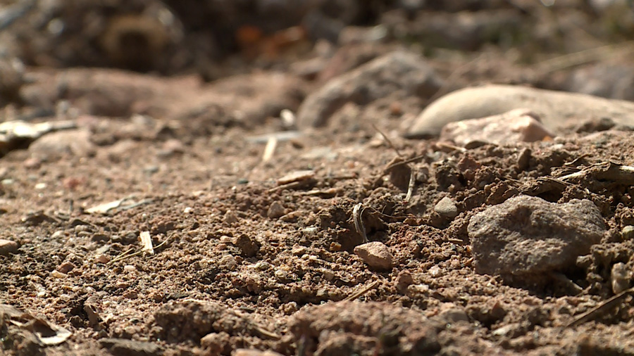 Record heat sends Utah's soil moisture falling way below normal