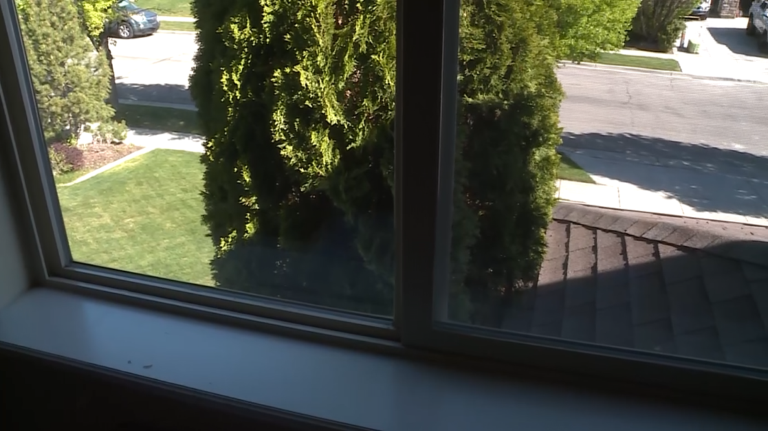 Safe In 60: Keeping Young Children Safe From Hidden Window Hazards ...