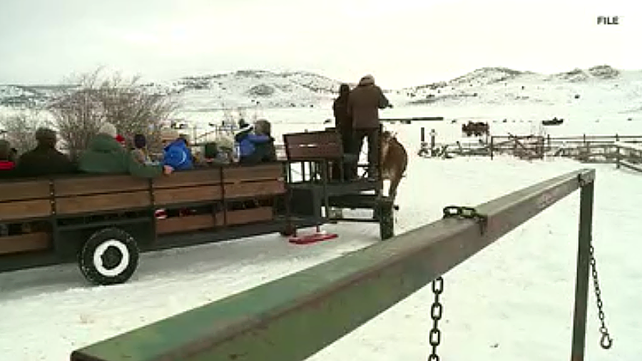 Hardware Ranch sleigh rides canceled for second straight year