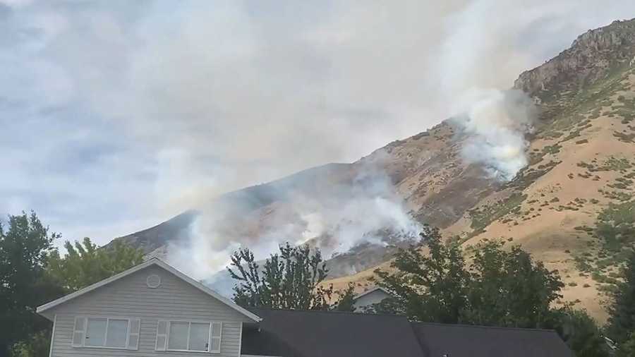 Police: Suspect arrested for causing Springville brush fire while ...