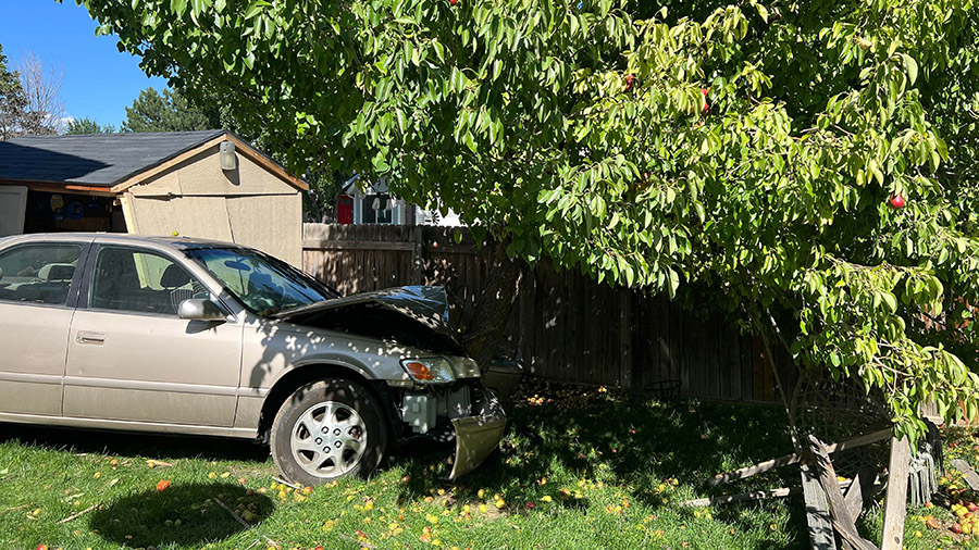 Driver loses control of car, crashes into family's backyard
