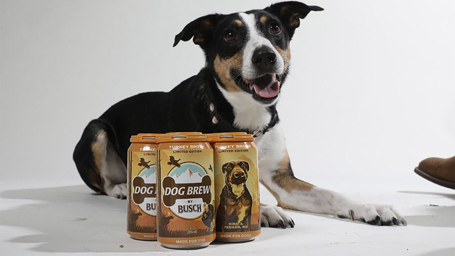 Busch debuts non-alcoholic 'Turkey Brew' for dogs