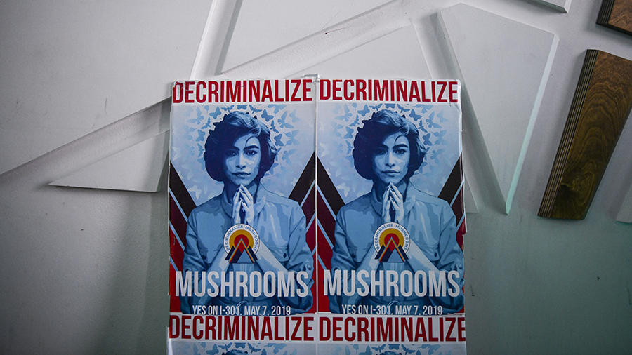 Colorado voters decriminalize psychedelic mushrooms