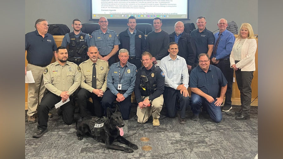 K-9 Riko, two other officers awarded Medal of Valor by Hurricane police ...