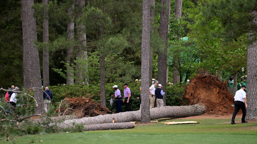 Instant Replay: Masters Play Suspended After Two Trees Fall, Nearly ...