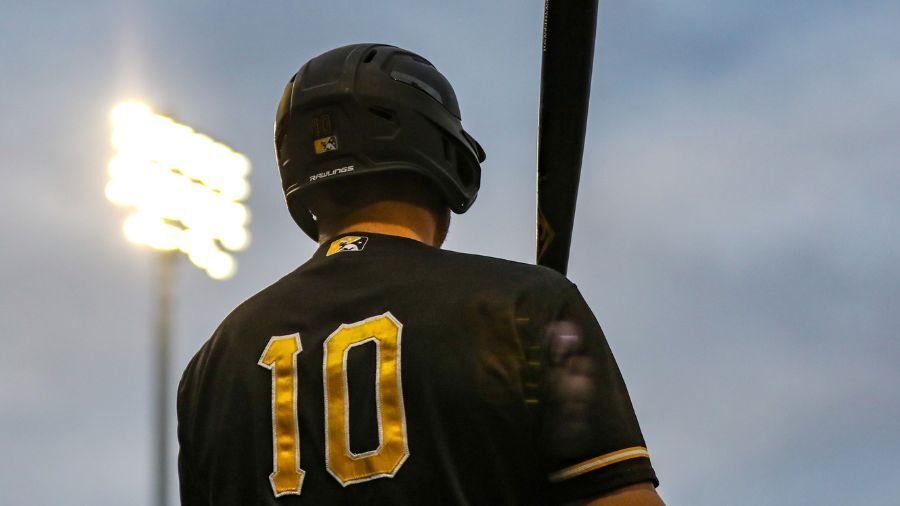 Salt Lake Bees To Celebrate Gulls On Throwback Night