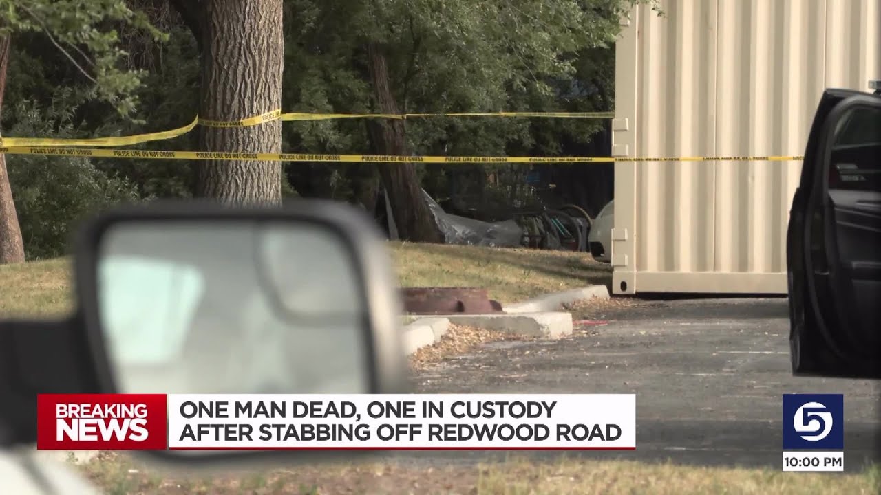 Video: UPDATE: One dead in fatal stabbing, one person in custody ...