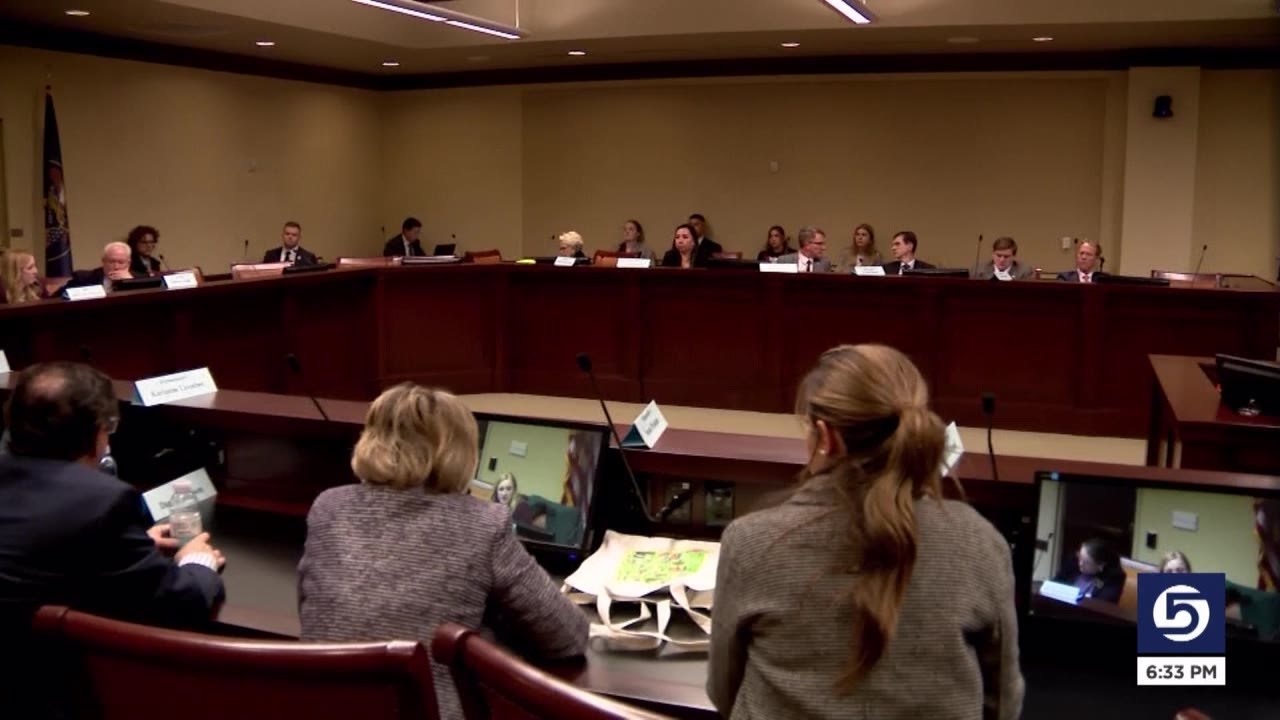 Video: Bill to replace DEI offices in schools and government entities ...