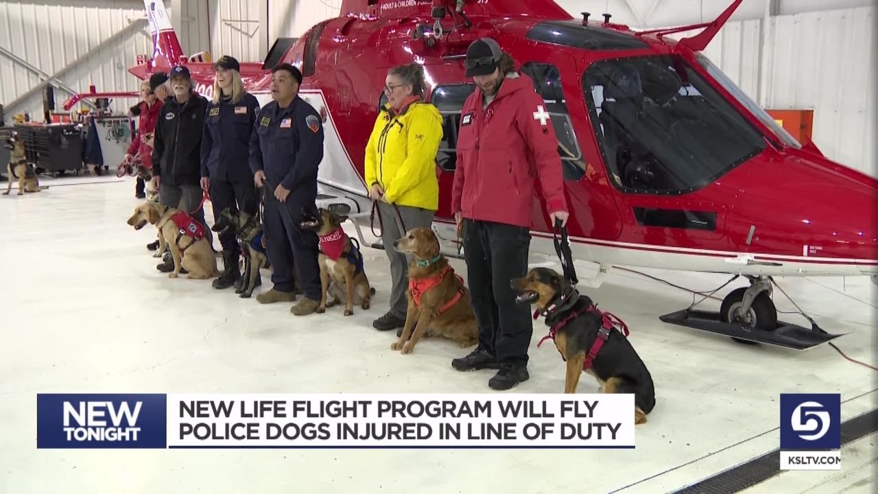 Video: New Life Flight program will fly police dogs injured in the line ...