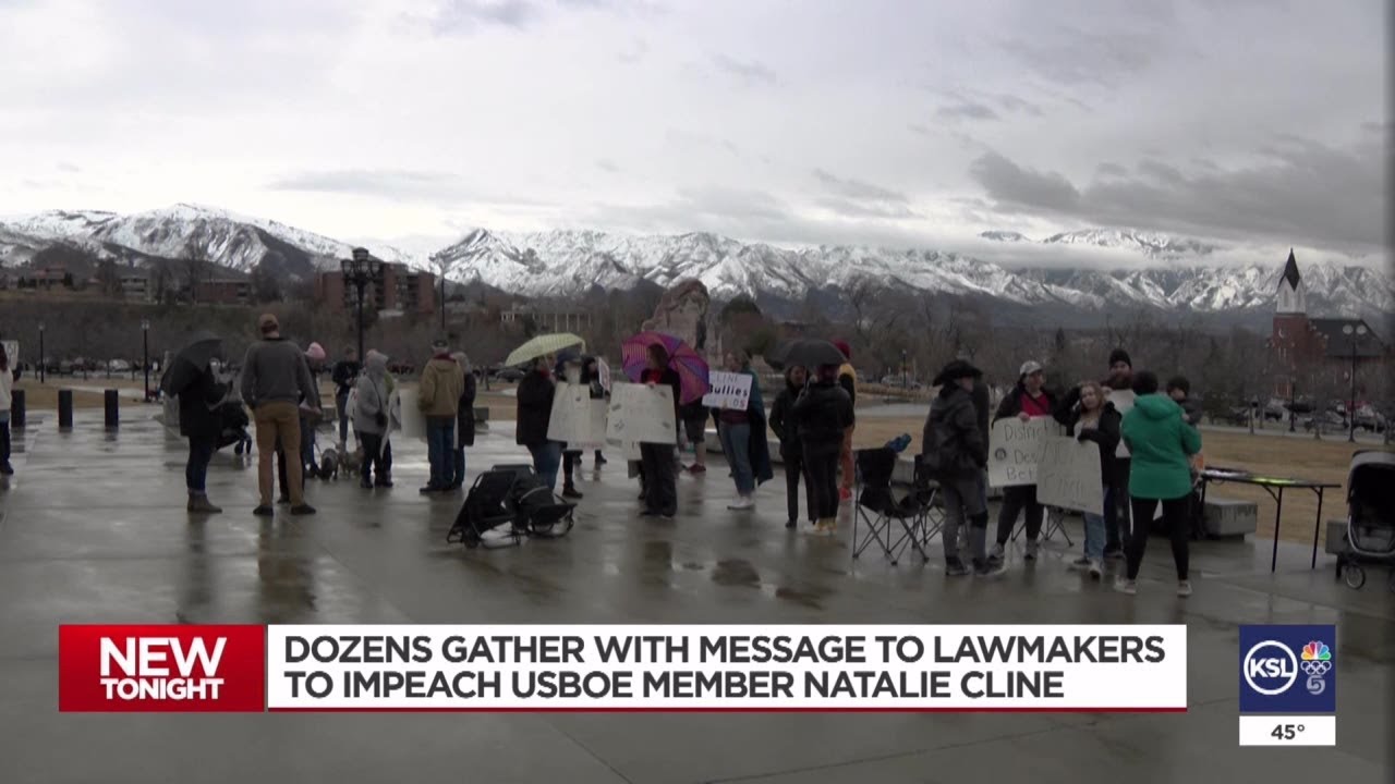 Video: The Utah Legislature censured Natalie Cline last week; some say ...