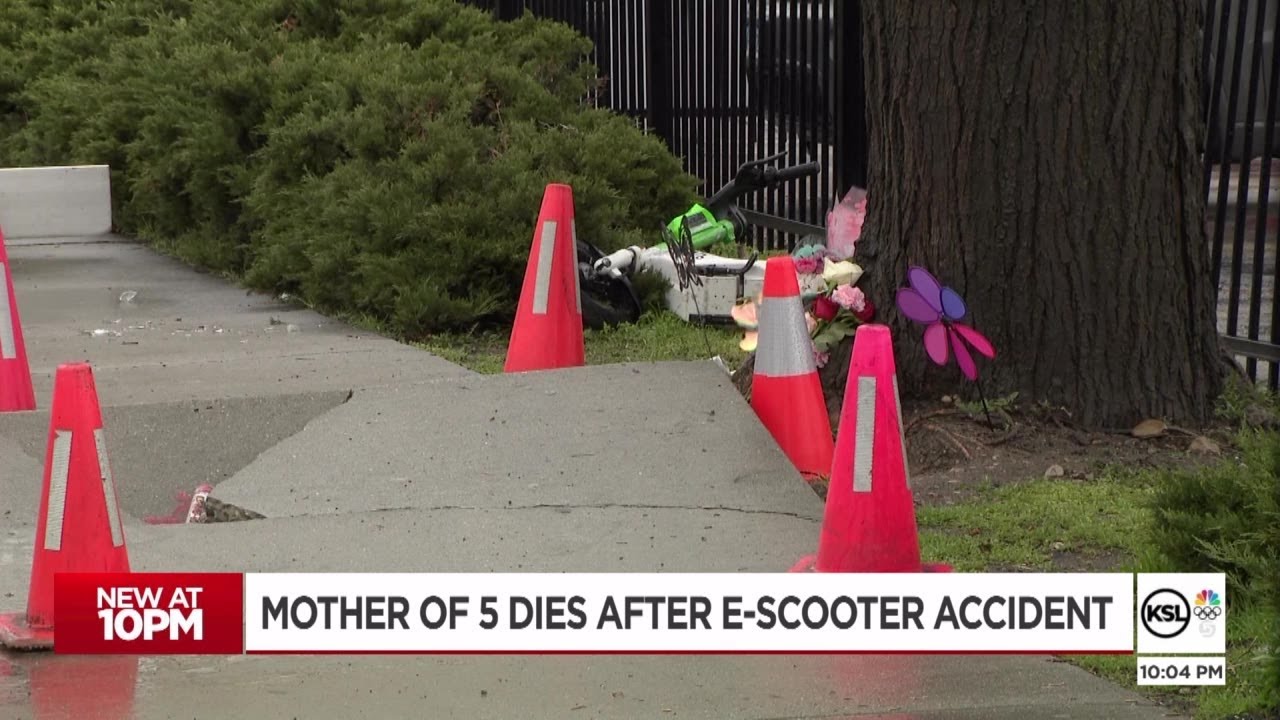 Video: Mother of 5 dies after e-scooter accident, family calling on ...