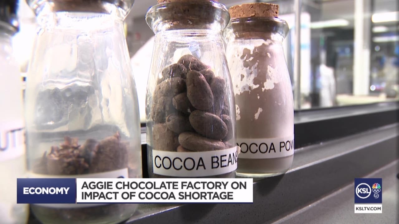 Video: Here's why there's a looming chocolate shortage - KSLTV.com