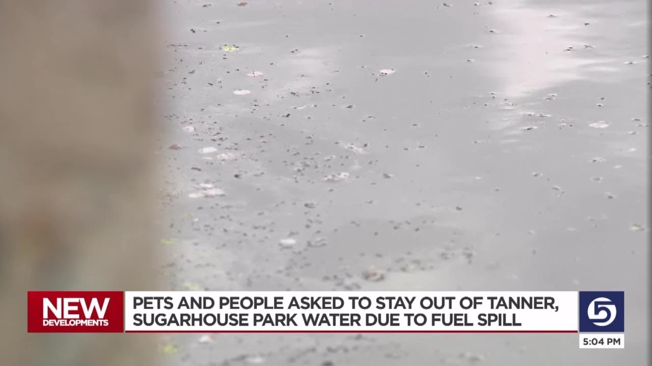 Video: Semitruck crash spills gallons of fuel into Parleys Creek, no threat to drinking supply ...