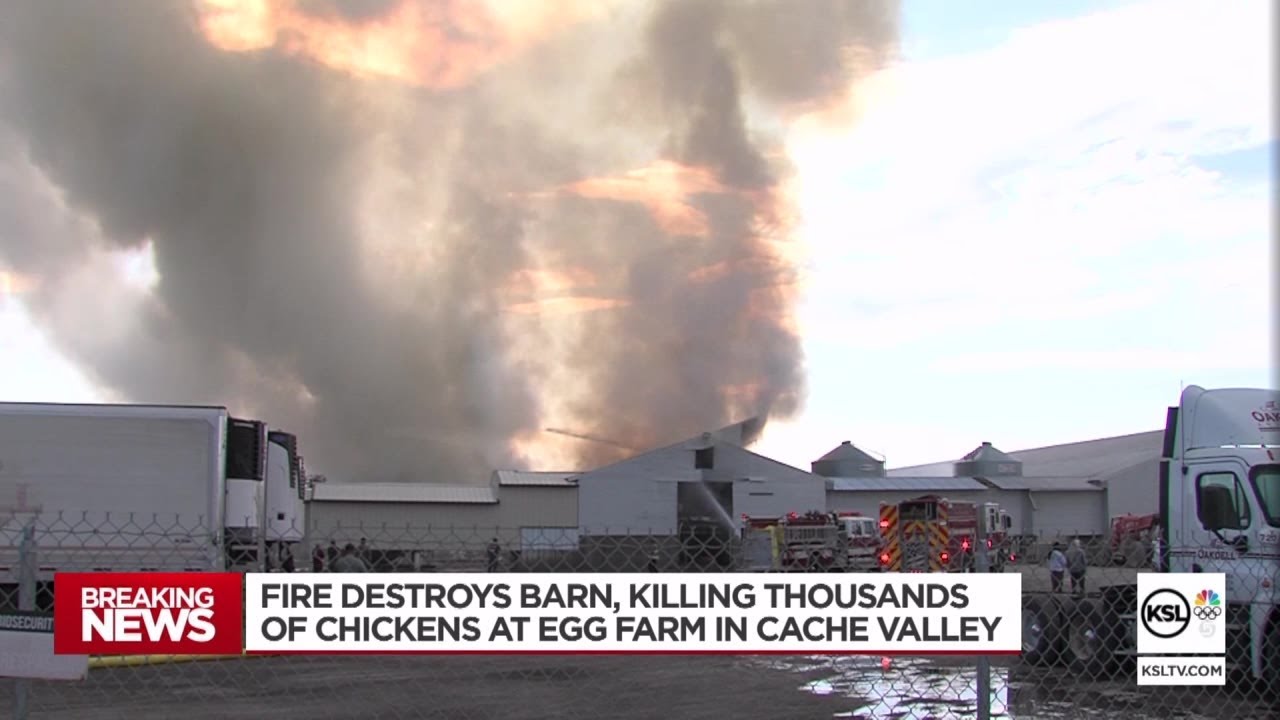 Video: Egg farm catches fire in Lewiston, prompting a fire response ...