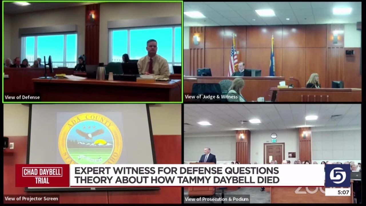 Video: Forensic pathologist called by defense says Tammy Daybell’s ...