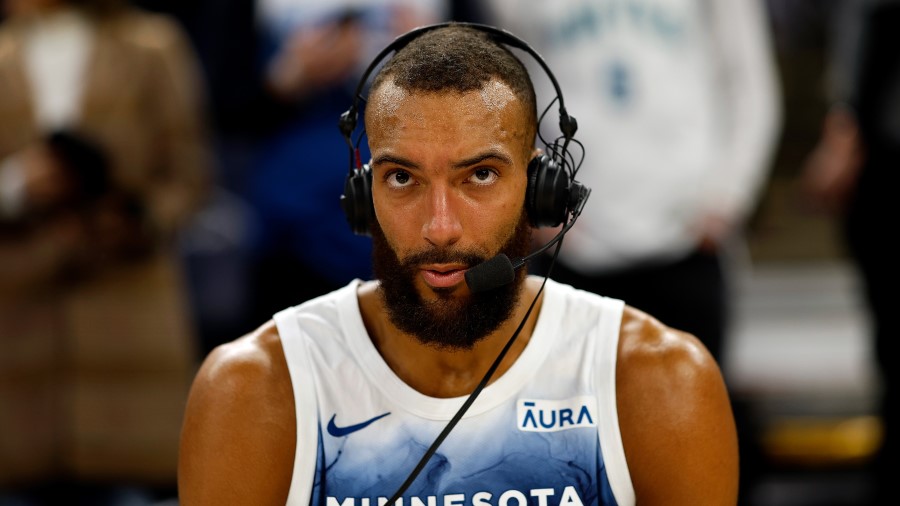 Rudy Gobert Shares Photos Of New Baby