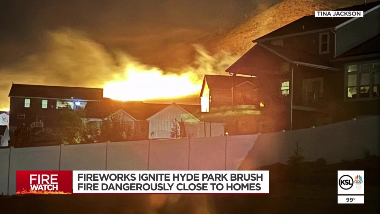 Video: Hyde Park residents urging caution after brush fire gets ...