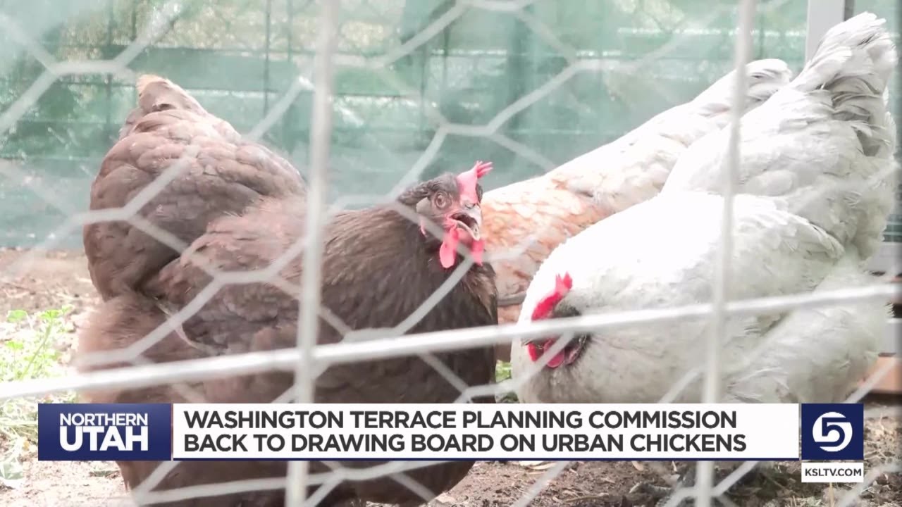 Video: Washington Terrace commission goes back to drawing board on ...