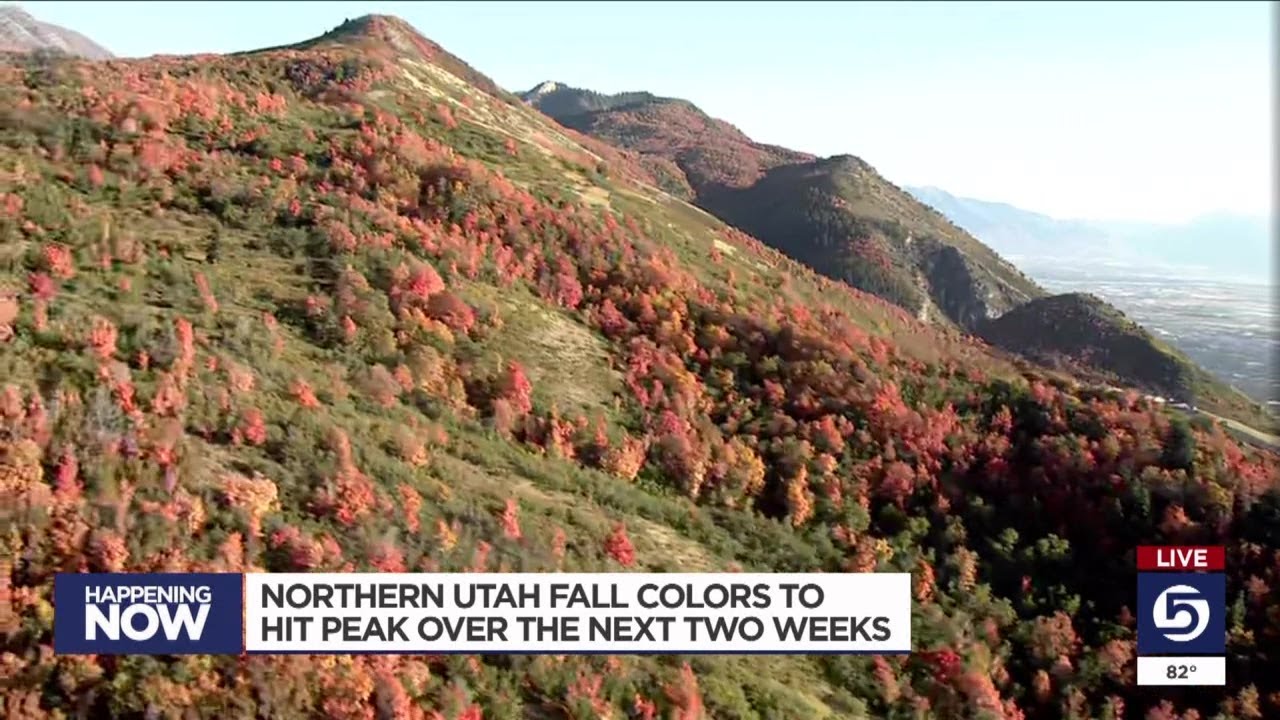 Video: Fall colors in northern Utah mountains may peak in the next two ...