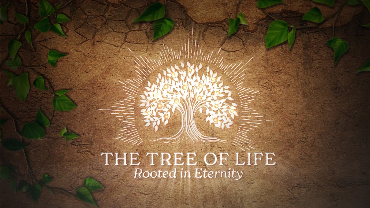 Video: THE TREE OF LIFE: Rooted in Eternity - KSLTV.com