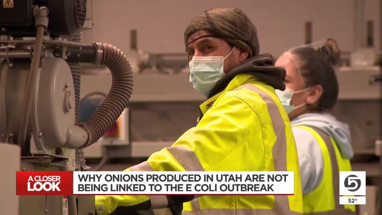 Video: Why onions from Utah aren’t being linked to the E. coli outbreak ...