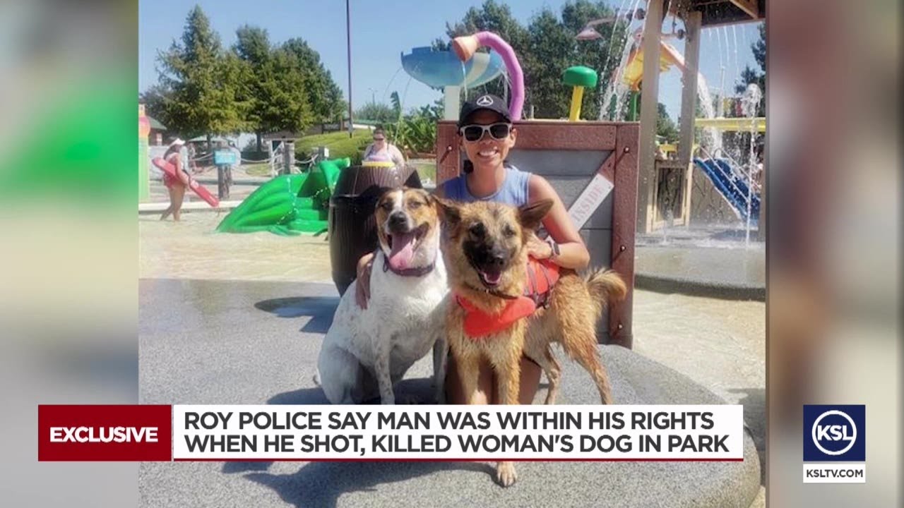 Video: Roy police say man was within his rights when he shot, killed ...