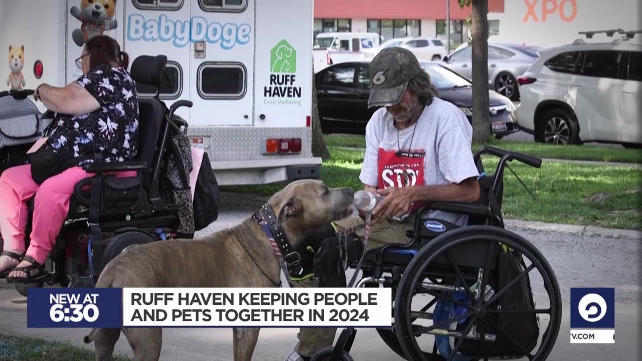 Video: A busy year for Ruff Haven, keeping Utah pets healthy and safe ...