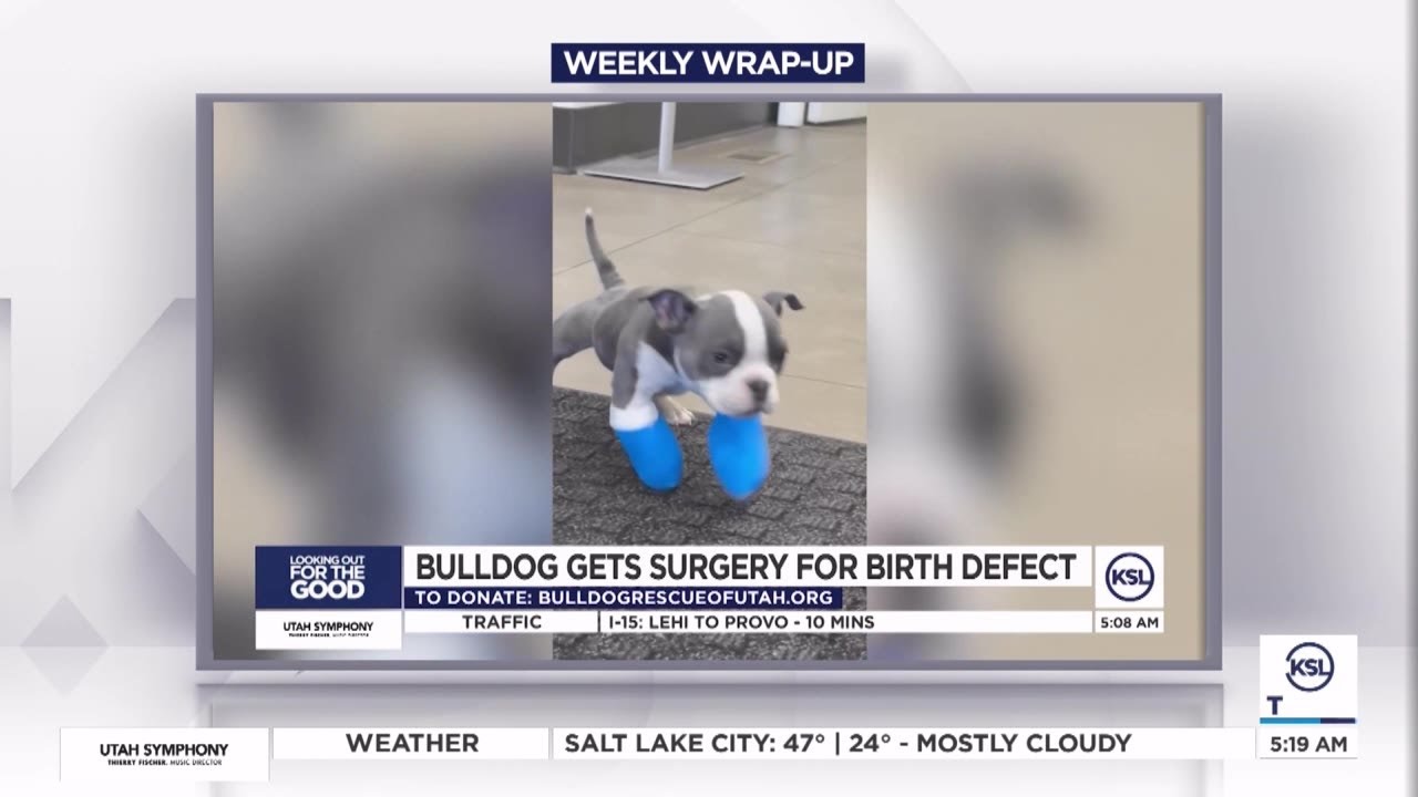 Video: KSL TV's Weekly Wrap Up Jan. 31, 2025 - KSLTV.com