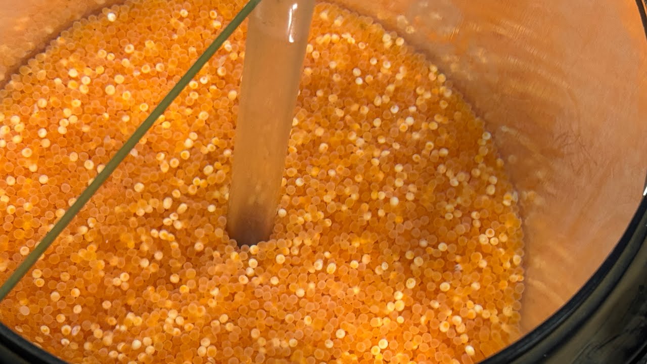 Video: New facility at Mantua Fish Hatchery boosts fish egg production ...