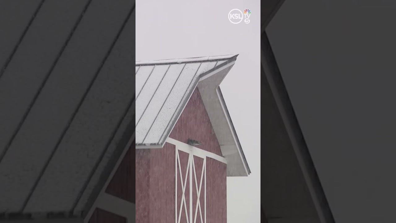 Video: The well-known Red Barn Academy abruptly shuts down - KSLTV.com
